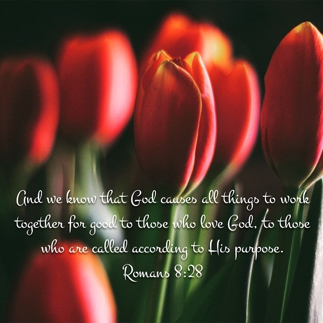 God Is Not Great Quote