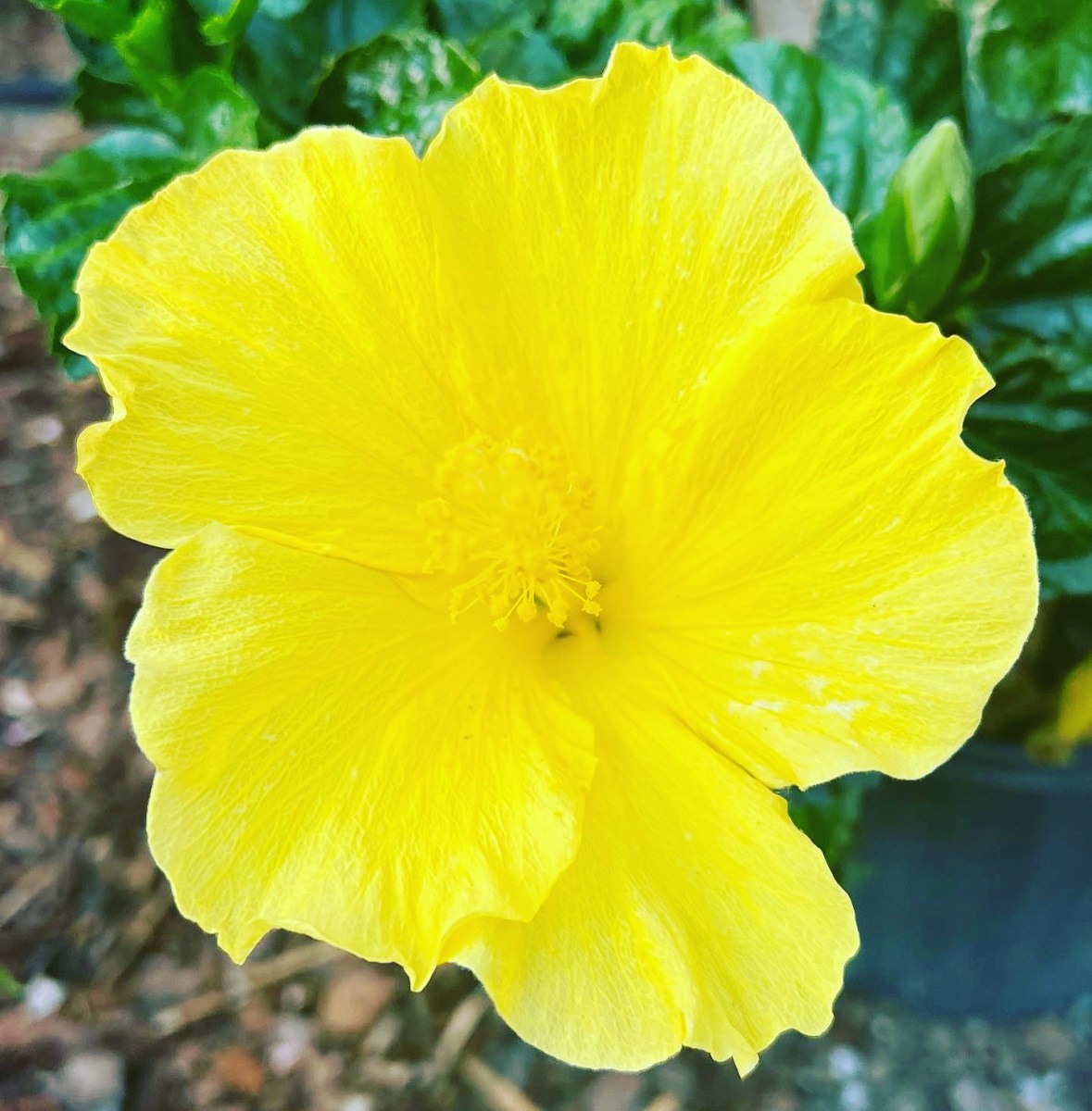 This I Know – Joyful Jenny Books / Ponder It Blog