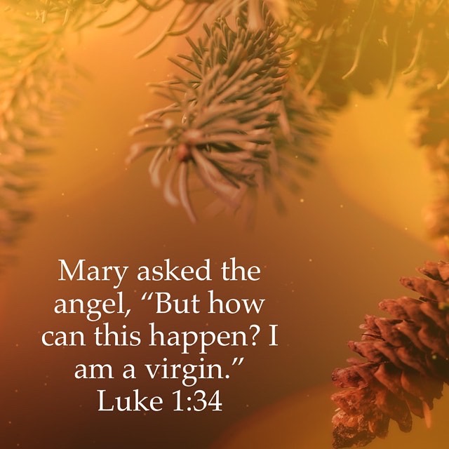 Do you need a Christmas Miracle? – Joyful Jenny Books / Ponder It Blog