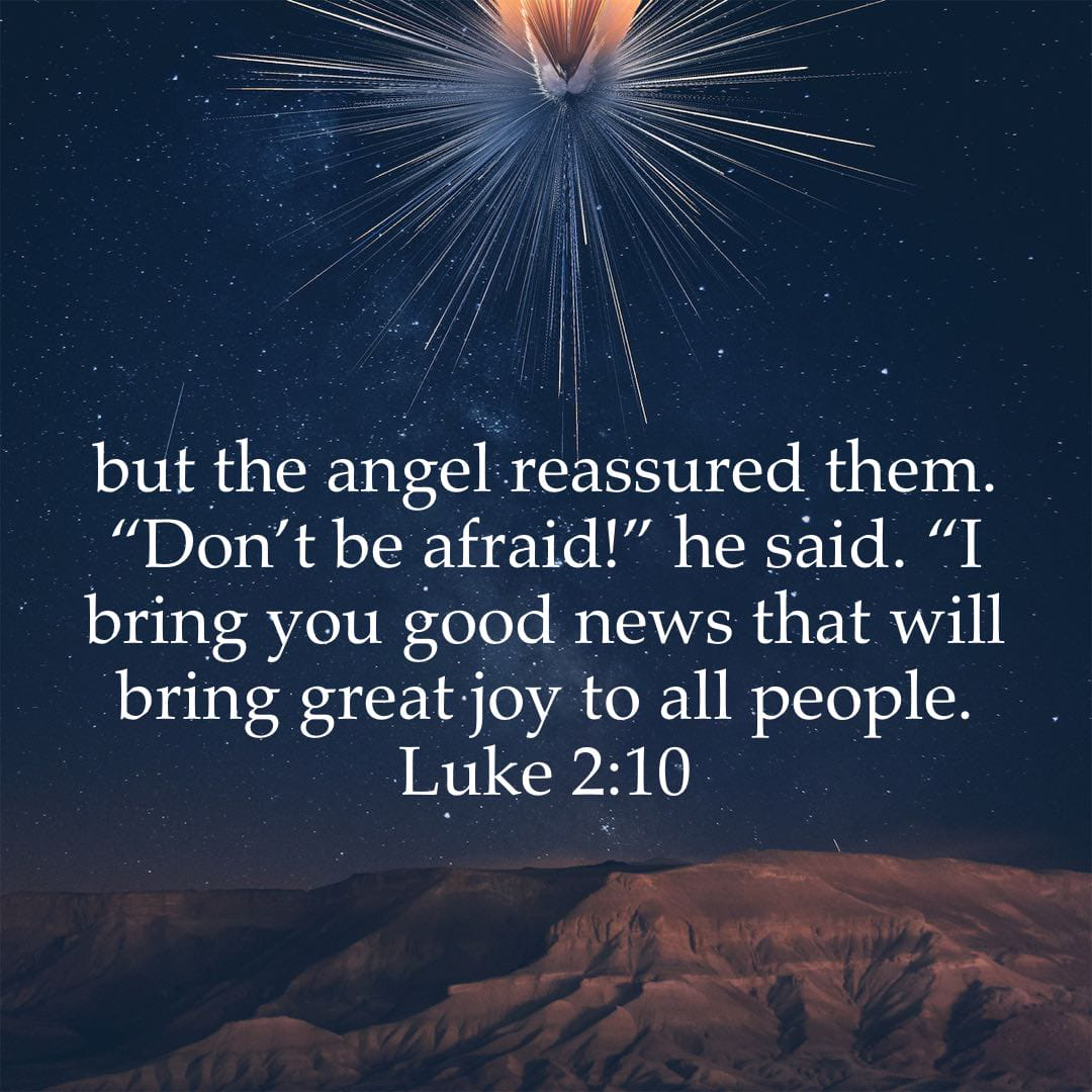 What Jesus Brings – Joyful Jenny Books / Ponder It Blog