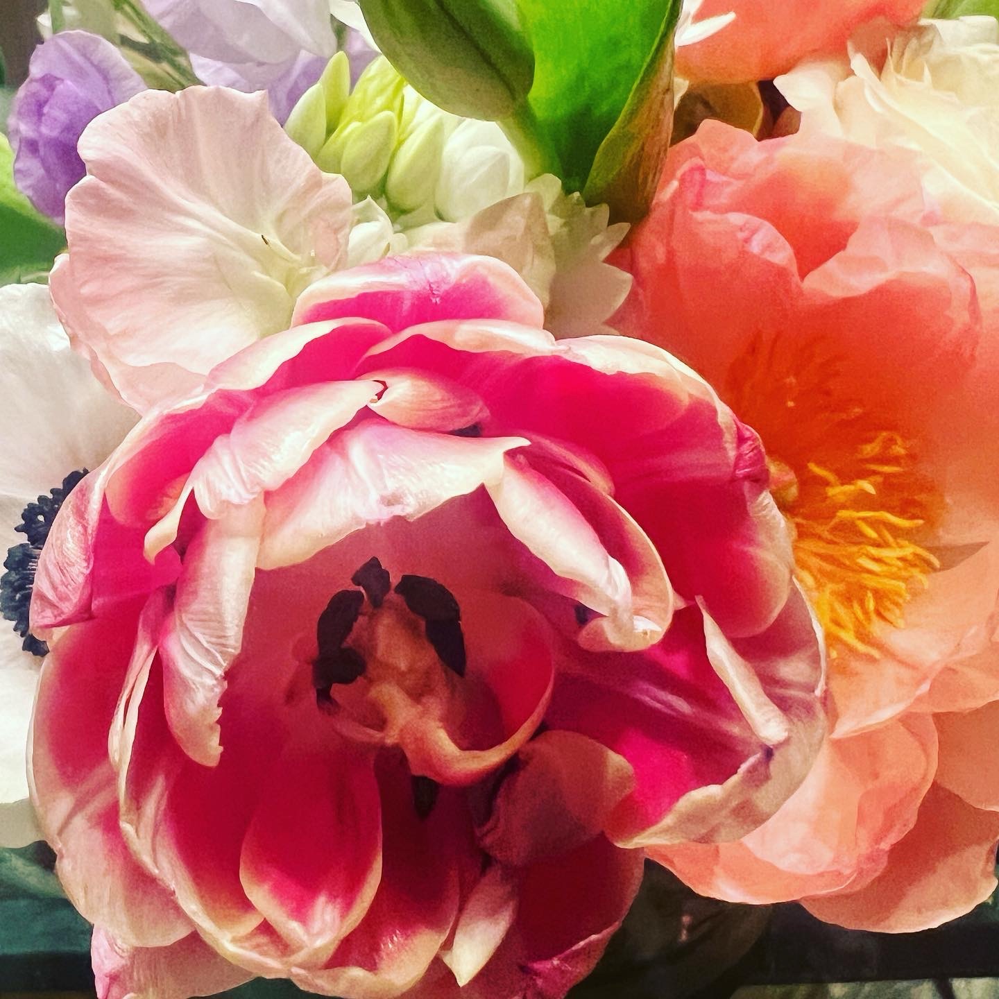 Only Your Mother – Joyful Jenny Books / Ponder It Blog